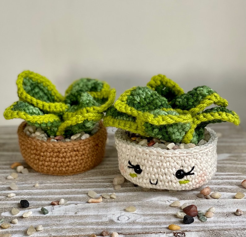 Dwarf Snake Plant Crochet Pattern - Etsy