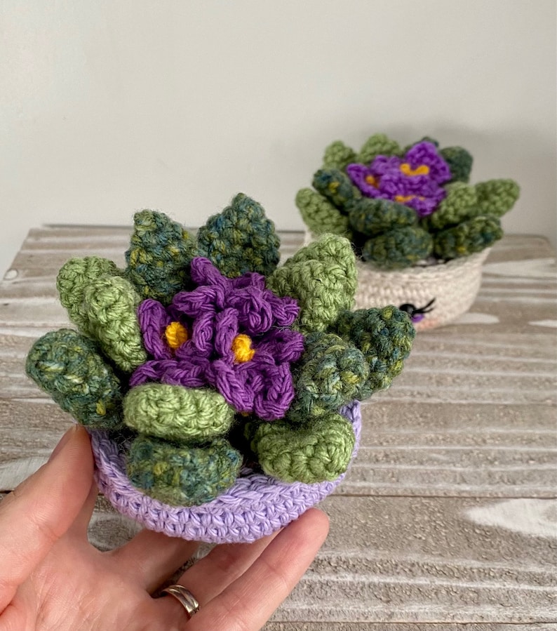 African Violet Crochet Pattern - Etsy