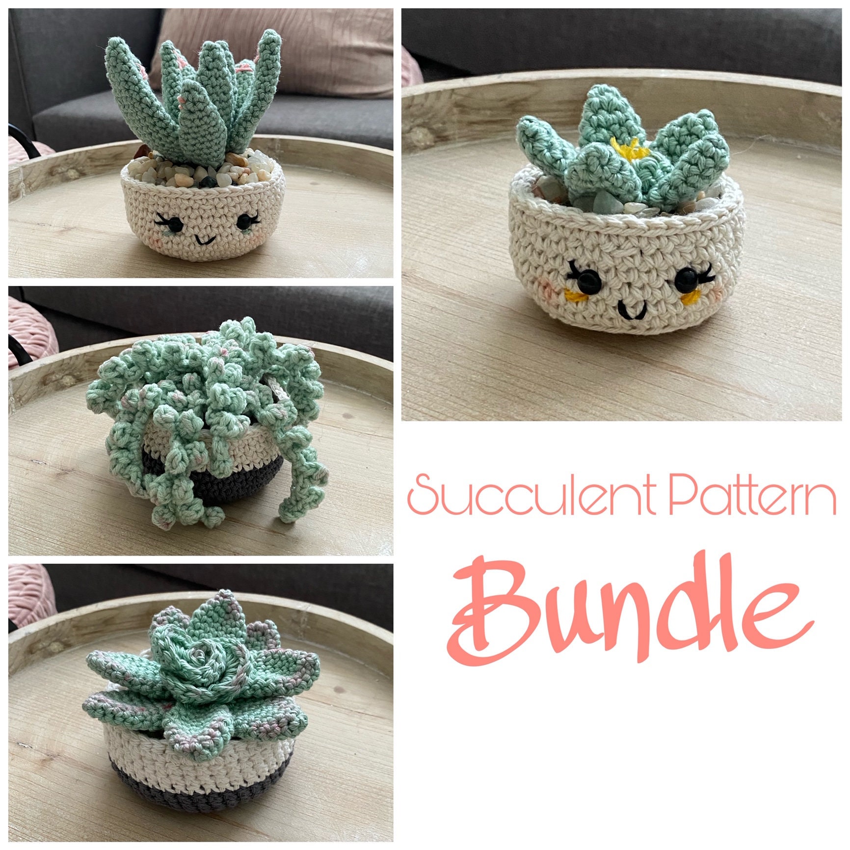 Succulent Pattern Bundle - Etsy UK