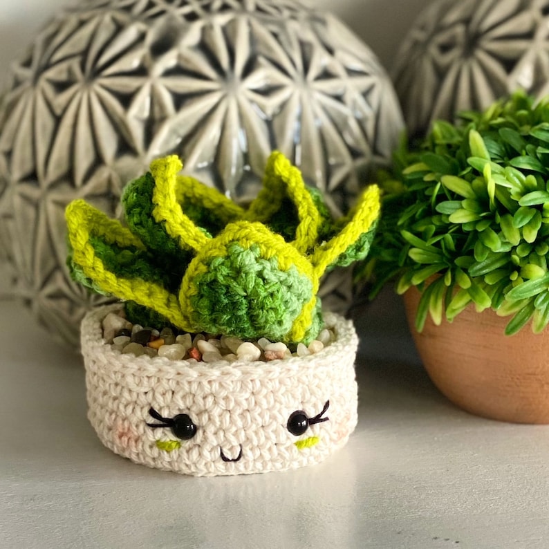 Dwarf Snake Plant Crochet Pattern - Etsy