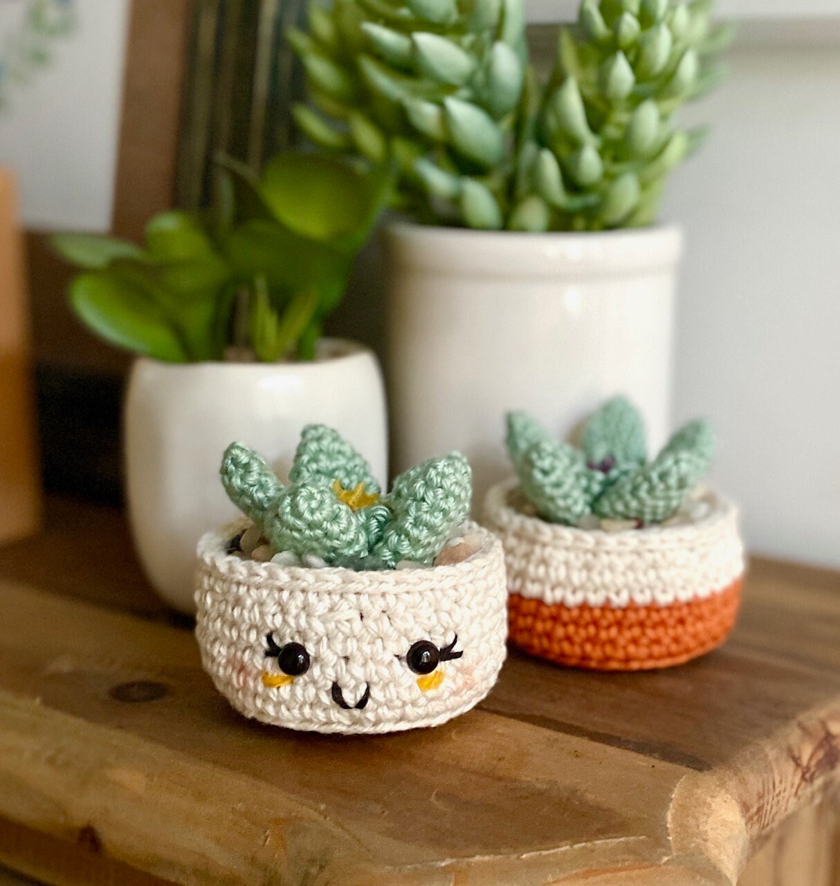 Succulent Pattern Bundle - Etsy UK