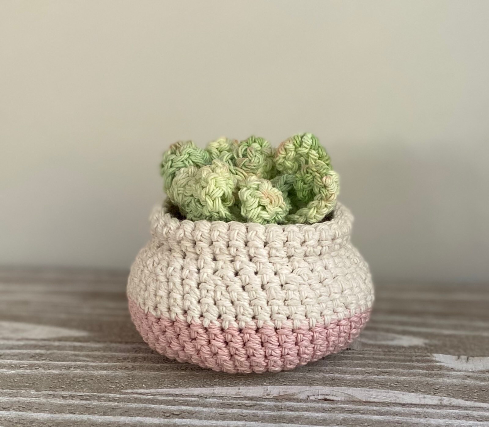 Crochet Succulent Pattern Crochet Plant Pattern Amigurumi | Etsy