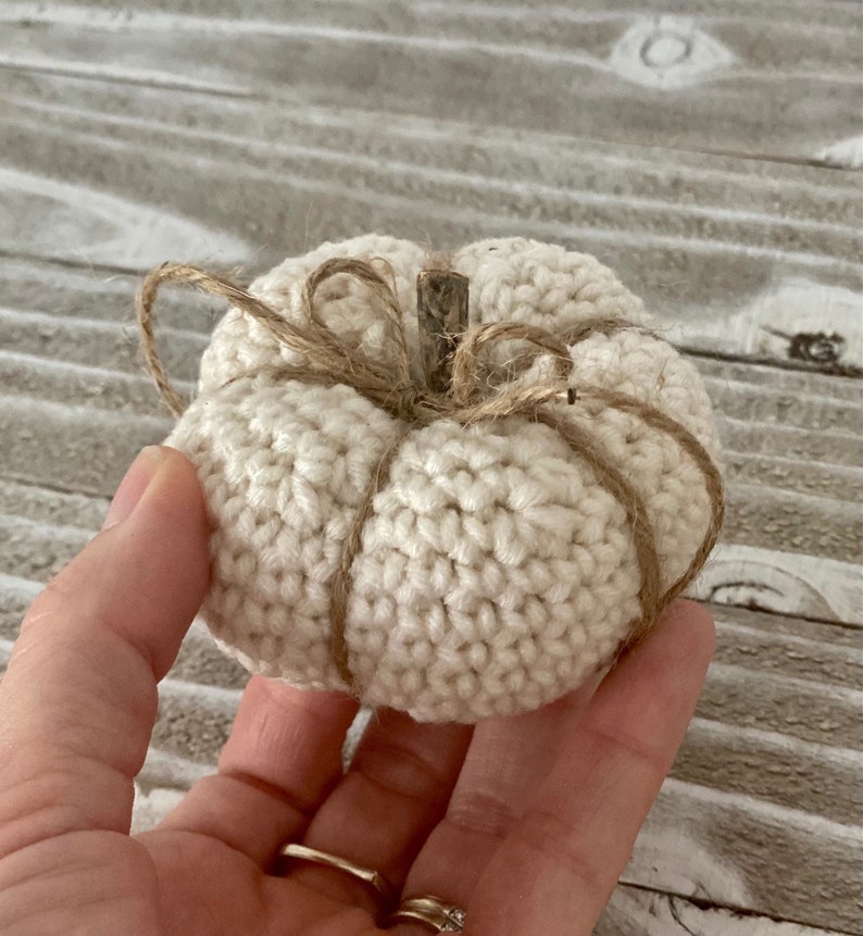 Rustic Pumpkin Trio Crochet Pattern | Etsy