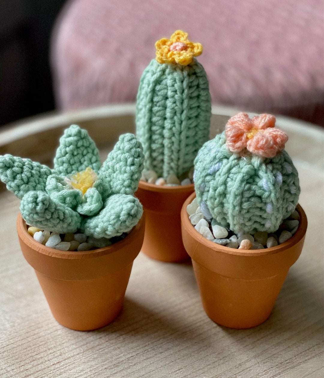 Succulent & Cacti Mini Bundle Crochet Pattern - Etsy