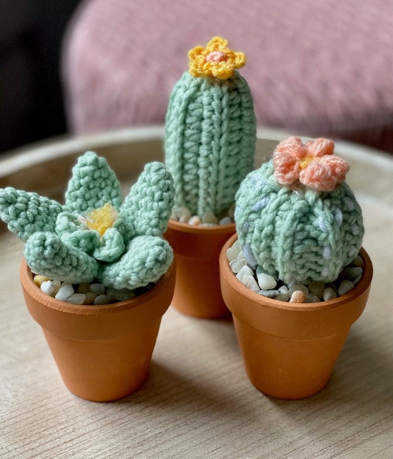 Succulent & Cacti Mini Bundle Crochet Pattern | Etsy