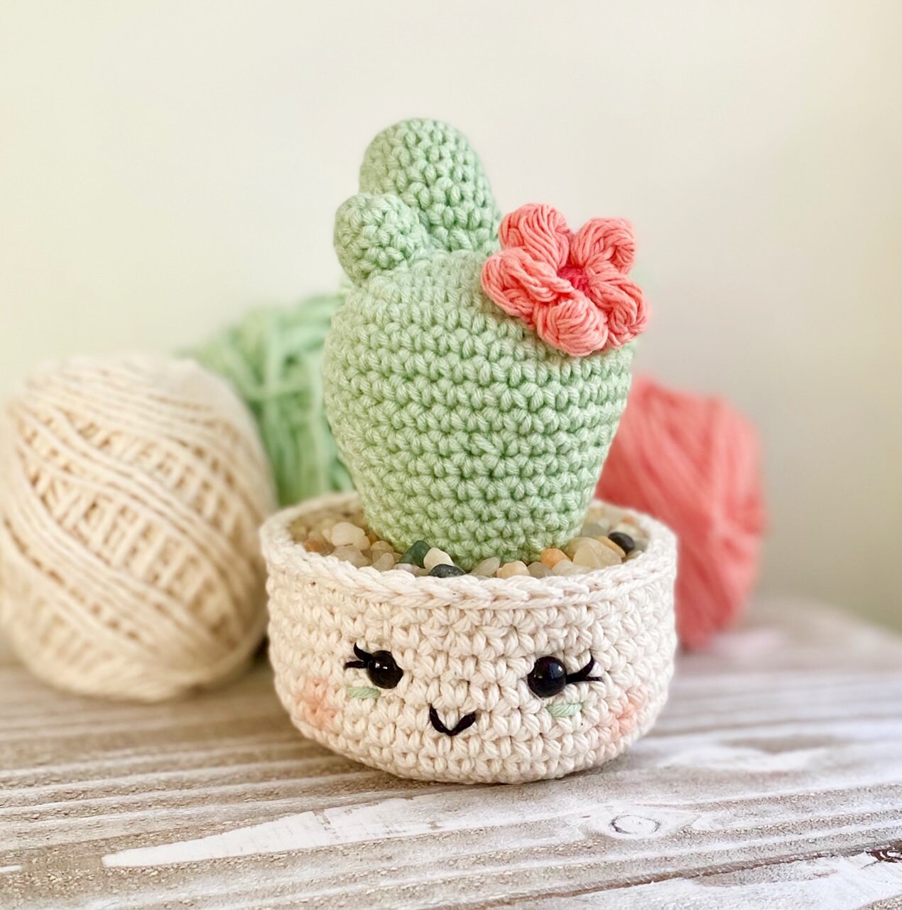 Cactus Pattern Bundle Crochet Patterns - Etsy