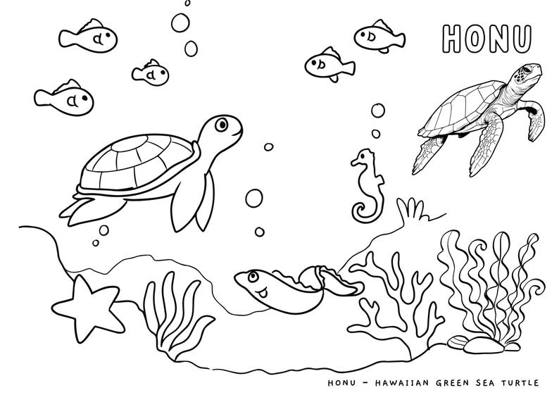 Hawaii Coloring Pages: Luau-themed Tropical Island Activity (digital ...
