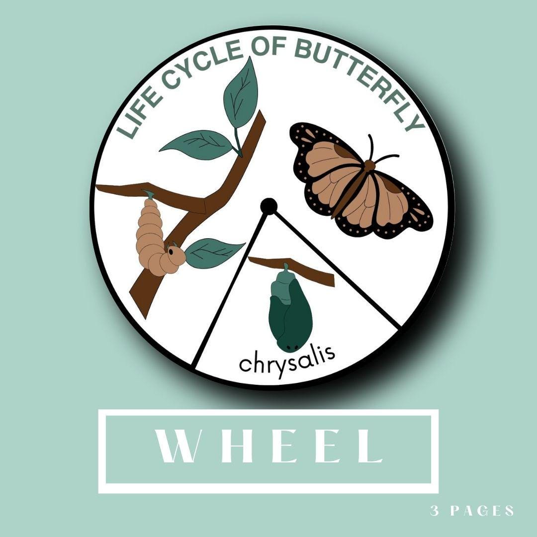 Life Cycle of Butterfly Wheel, Science Butterfly Life Stage, Spring ...