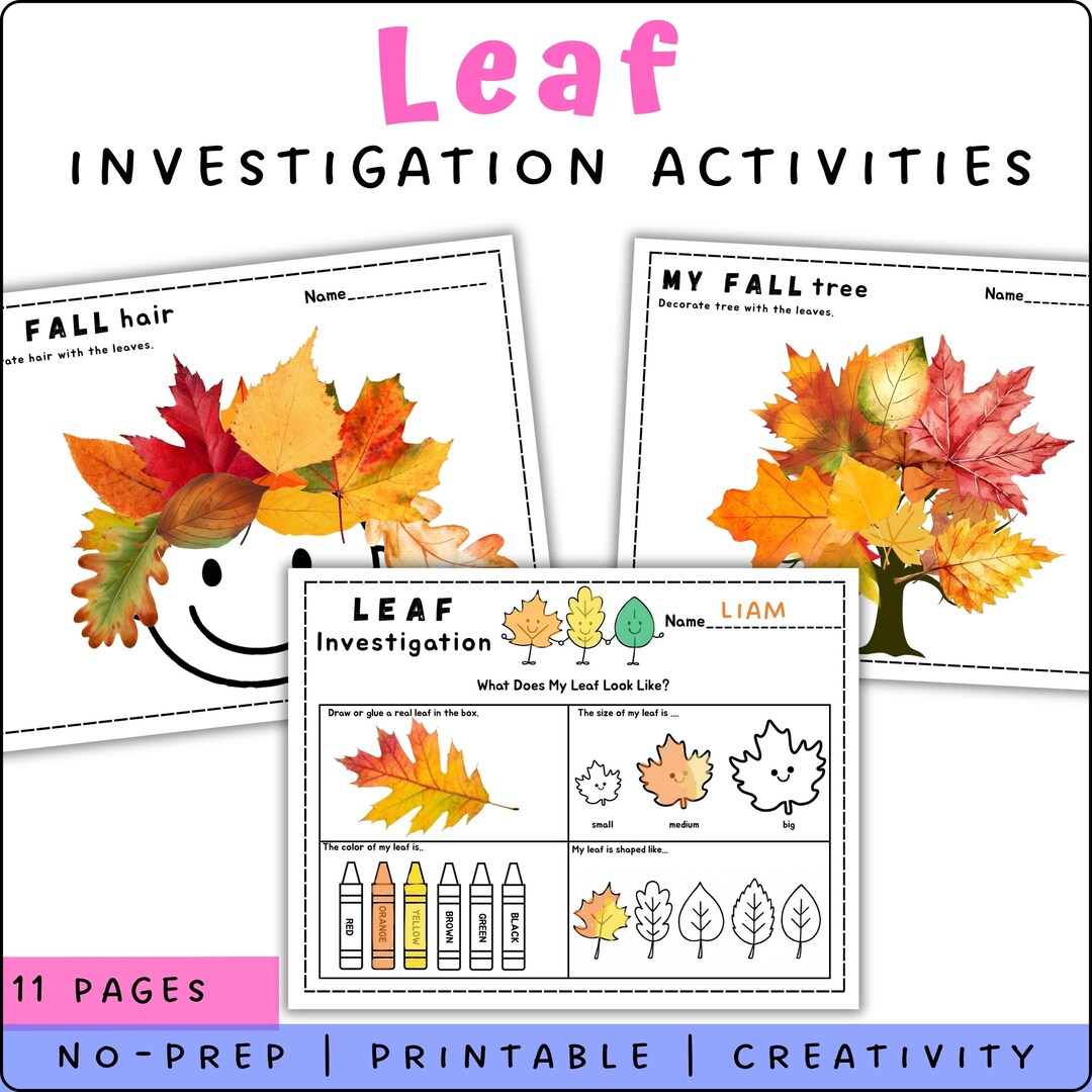 Leaf Investigation Activities | Fall Science Worksheets | Prek–1st ...