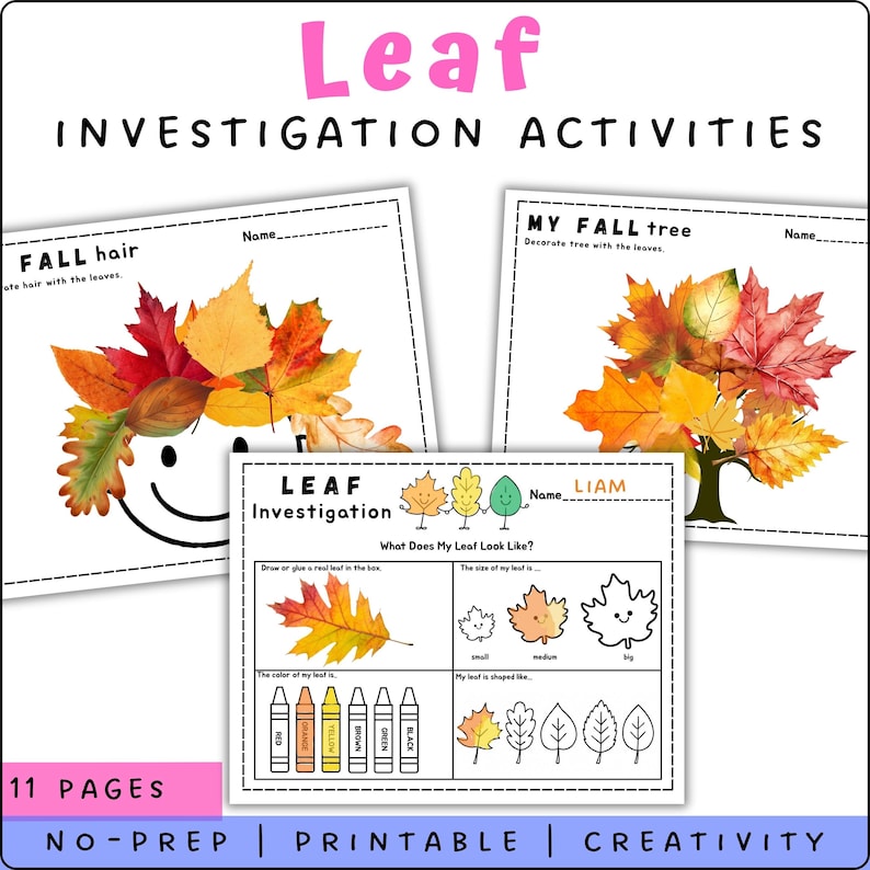Leaf Investigation Activities | Fall Science Worksheets | Prek–1st ...