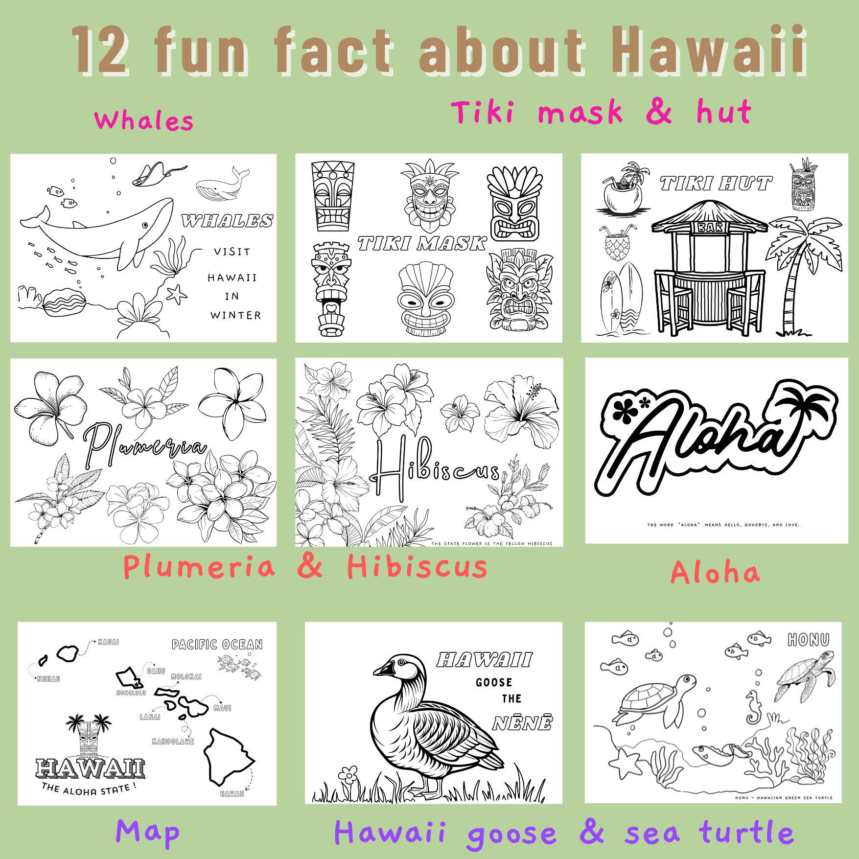 All About Hawaii Coloring Sheets, Luau-themed Activities, Summer, AAPI ...