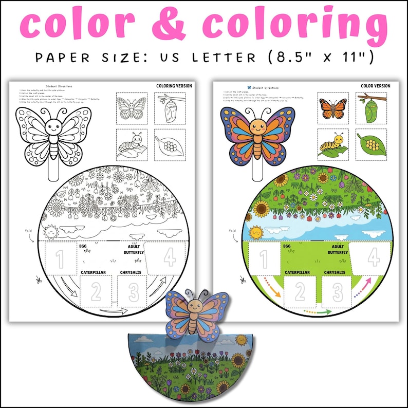 Butterfly Life Cycle Foldable Craft | Cut and Paste Sequencing Activity ...