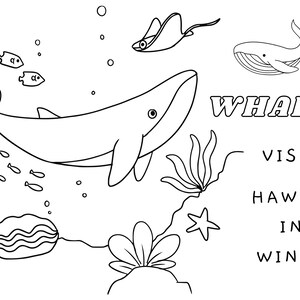 Hawaii Coloring Pages: Luau-themed Tropical Island Activity (digital ...