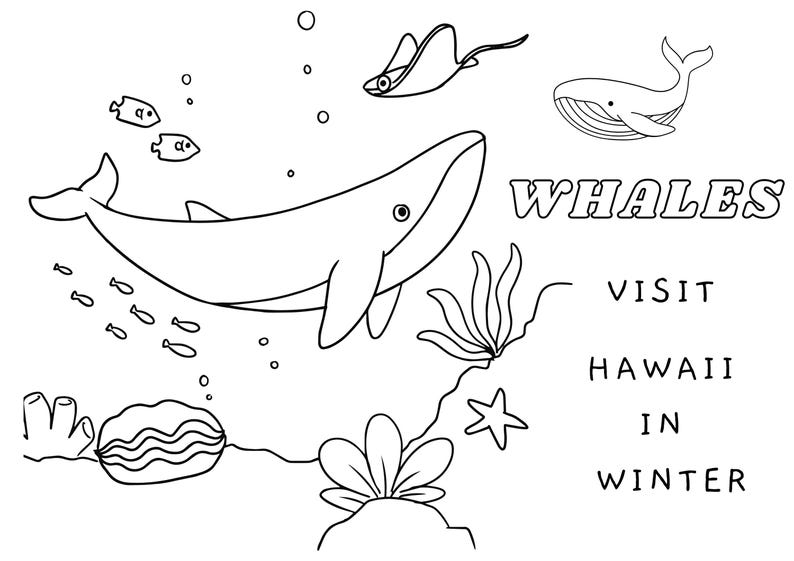 All About Hawaii Coloring Sheets, Luau-themed Activities, Summer, AAPI ...