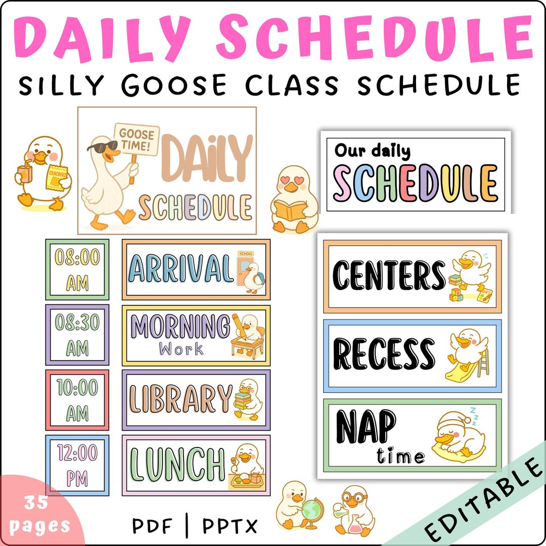 Silly Goose Daily Schedule Cards: Classroom Visual Routine (PDF + PPTX ...