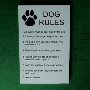 Pet Rules Novelty Fun Hanging Sign Two Sizes Various Colours Choices ...