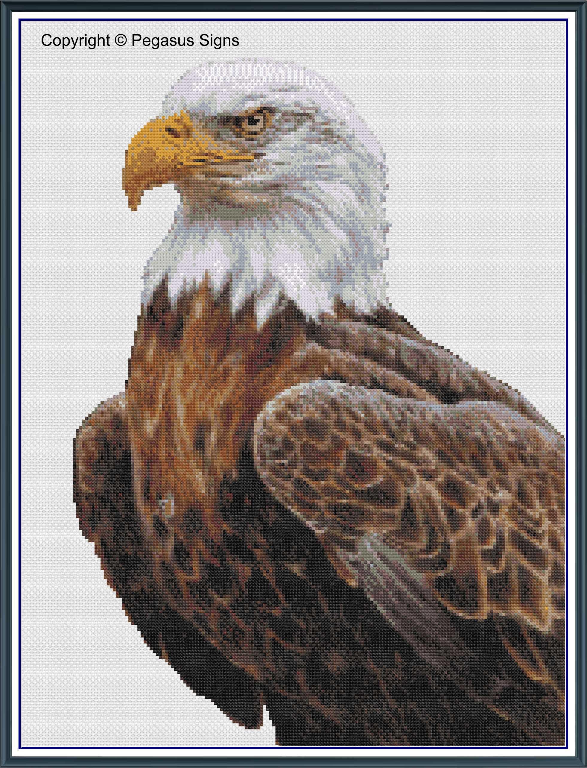 Bald Eagle Portrait Cross Stitch Pattern – Wildlife Art (PDF/JPEG) - Etsy