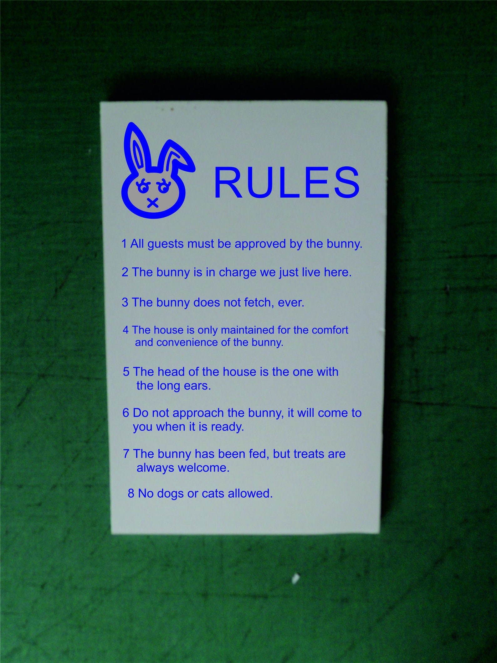 Pet Rules Novelty Fun Hanging Sign Two Sizes Various Colours Choices ...