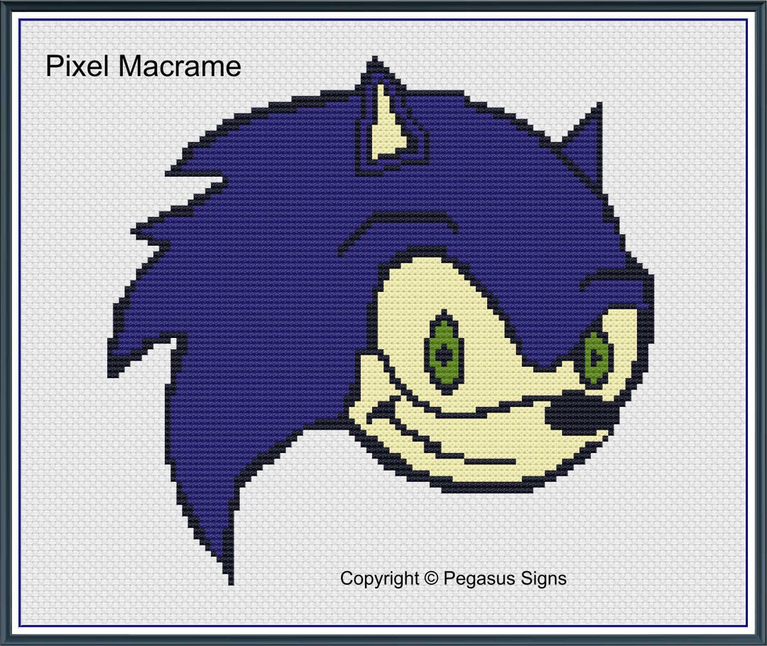 Pixel Macrame Sonic Head Pattern – Gaming Character Wall Hanging (PDF ...