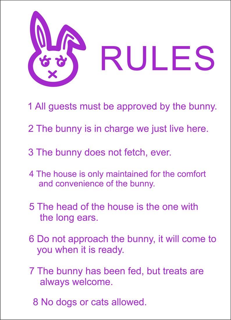 Pet Rules Novelty Fun Hanging Sign Two Sizes Various Colours Choices ...
