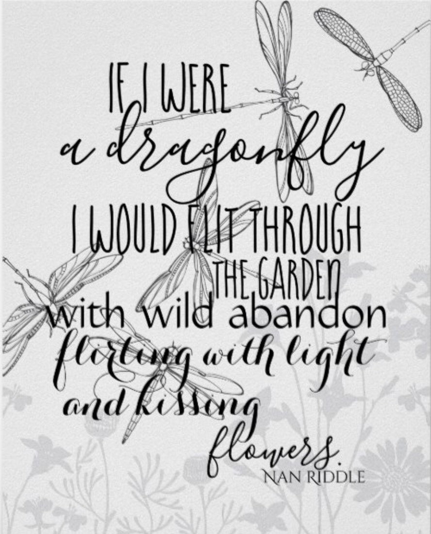 Dragonfly Poem Poster, If I Were a Dragonfly Poem, Ready to Frame ...