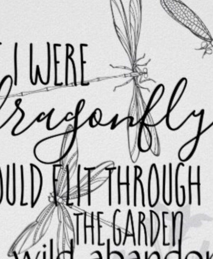 Dragonfly Poem Poster, If I Were a Dragonfly Poem, Ready to Frame ...
