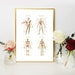 Body Systems Anatomy Anatomical Art Gift for Doctor Medical | Etsy