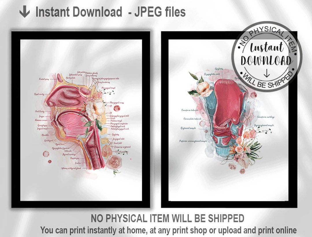 SLP Gift, Speech Language Pathologist, Watercolor Art, Speech Therapist ...