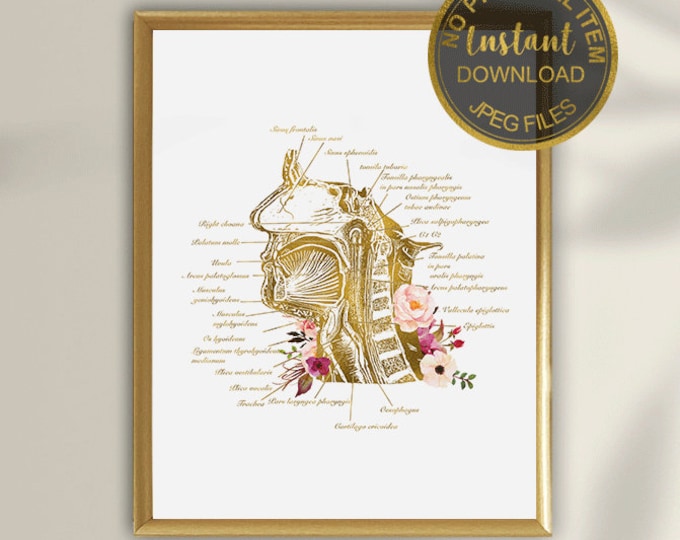 Eardrum Watercolor Print - Speech Path and Audiology and ENT Art - Ear ...