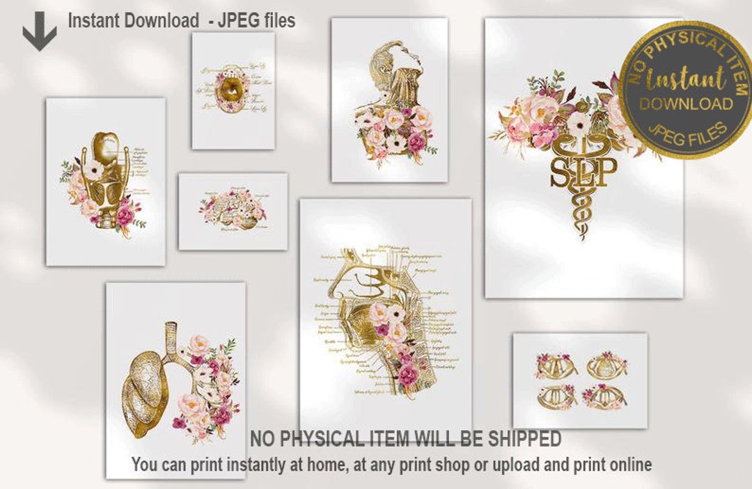 SLP Bundle, Slp Gift, Speech Language Pathologist, Speech Therapist ...