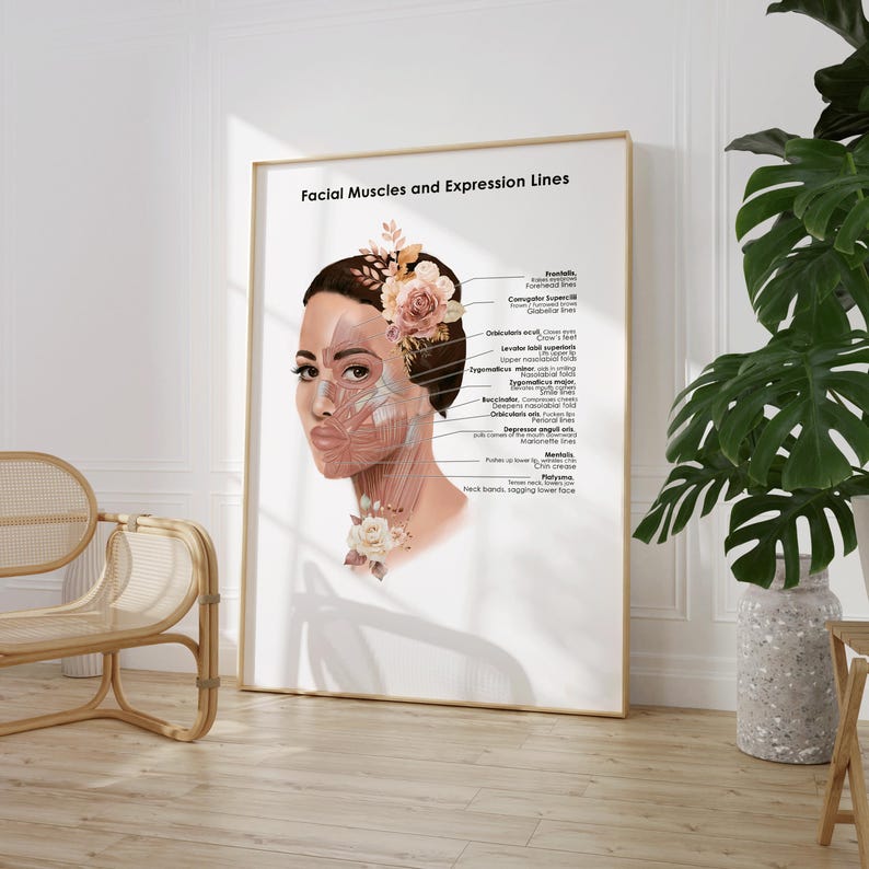 Facial Anatomy Art Print | Facial Muscles & Expression Lines Poster ...