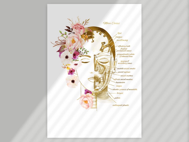 Speech Pathology Art SLP Gift Speech Anatomy Art Face - Etsy