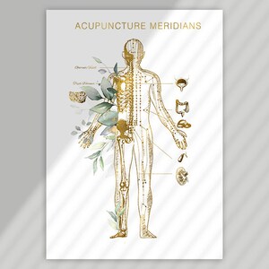 Acupuncture Meridians, Acupuncturist Gift, Acupuncturist Office Wall ...