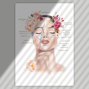 Face Anatomy Poster, Facial Muscles and Veins,esthetician Art, Plastic ...
