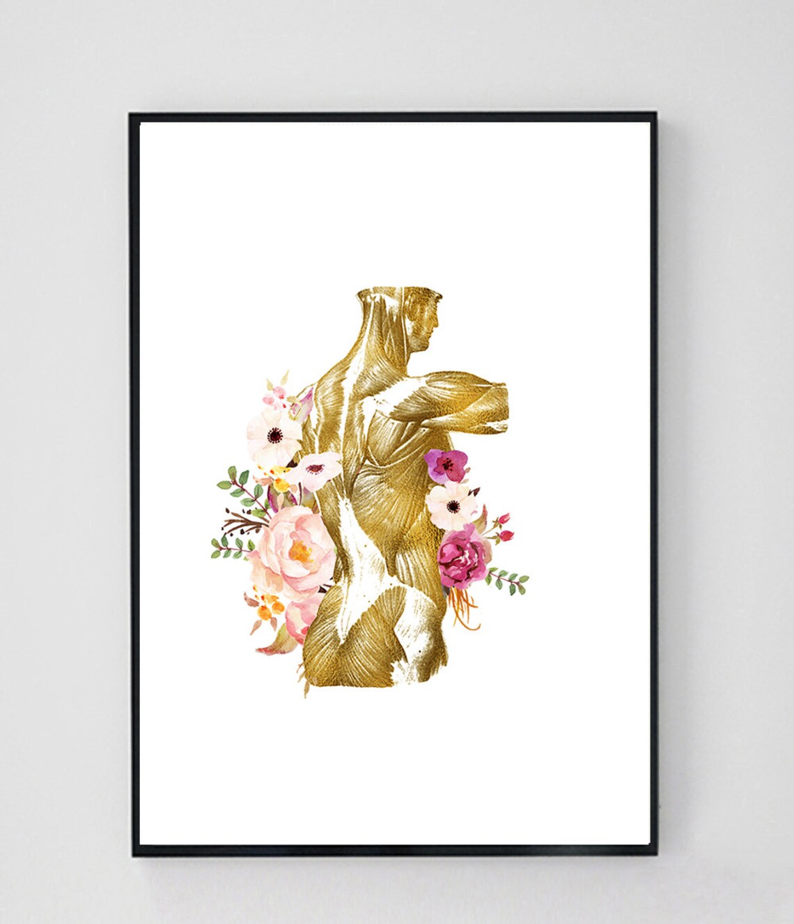 Human Anatomy Print Muscular System Human Muscles Art | Etsy