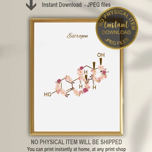 Estrogen Molecule Print Female Hormone Artmidwife Print - Etsy
