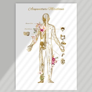 Chinese Medicine Art, Acupuncture Art, Acupuncturist Office Decor ...