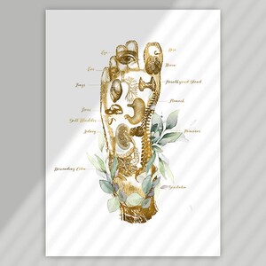 Foot Reflexology Poster , Massage Therapist Gift, Reflexologist Art ...