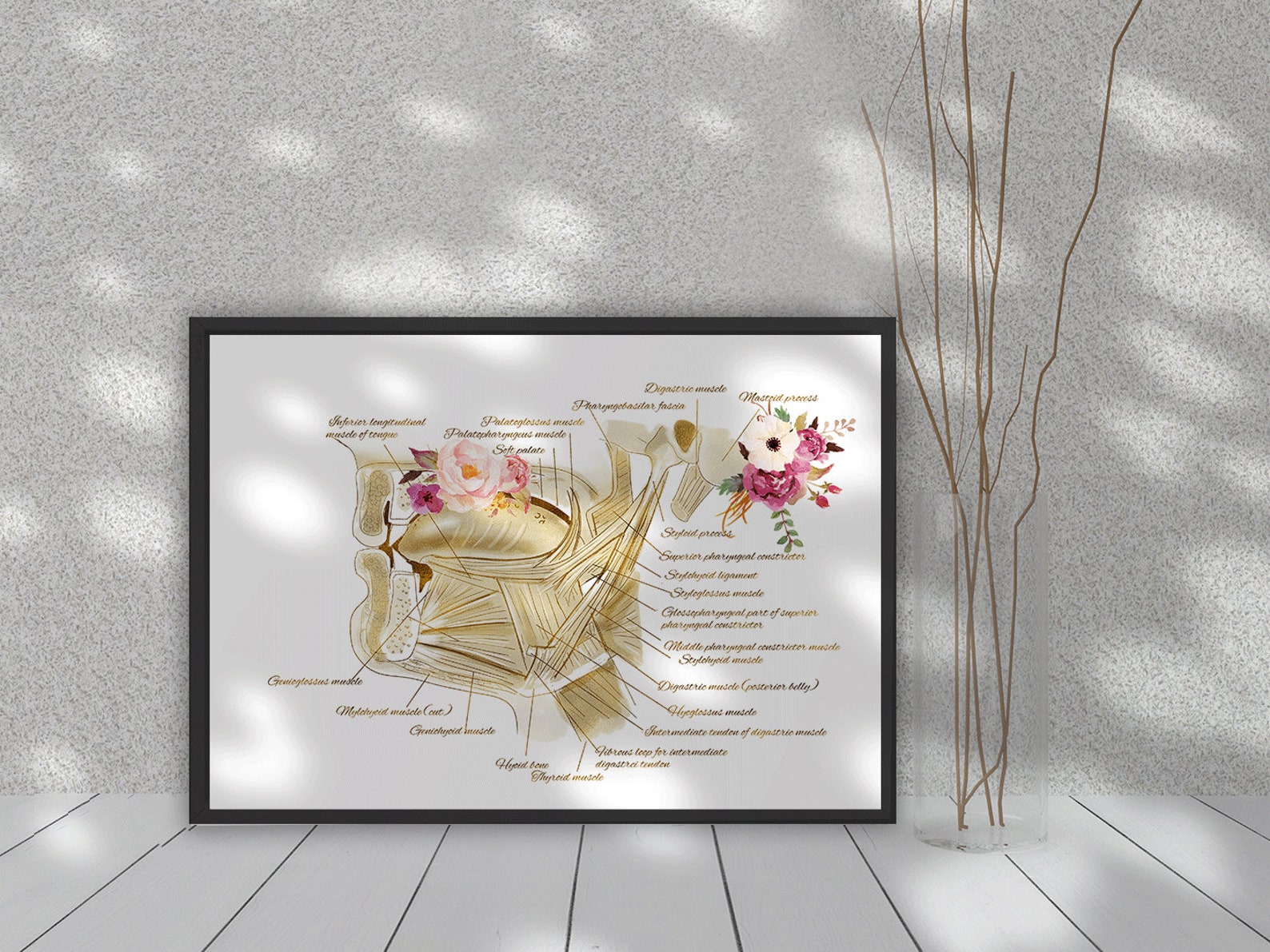 Tongue Muscles Artspeech Language Pathologist Gift Speech - Etsy