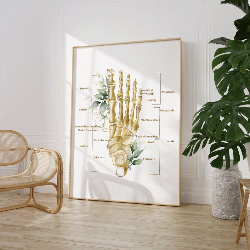 Foot Anatomy Art Print, Podiatrist Office Decor, Foot Bones Anatomy ...