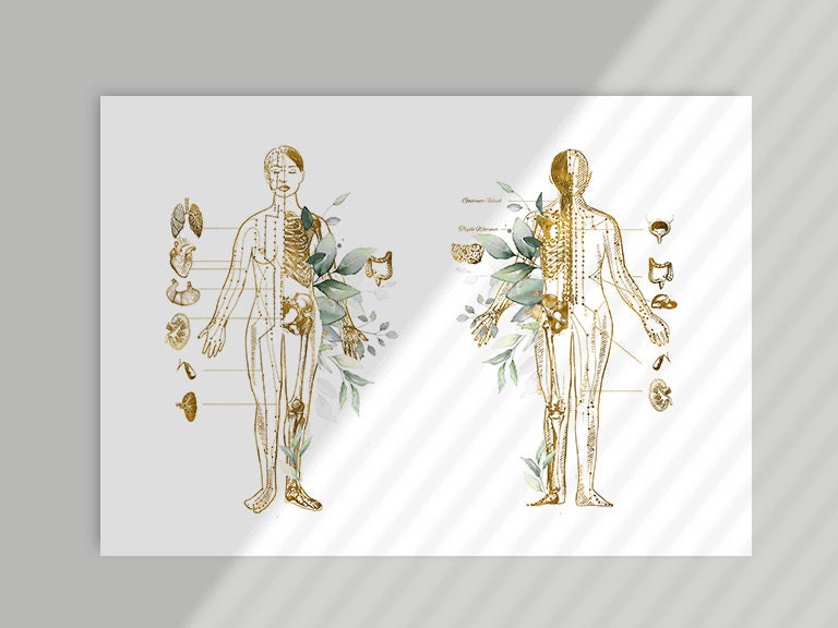 Acupuncture Meridians Wall Art | Traditional Chinese Medicine Poster ...