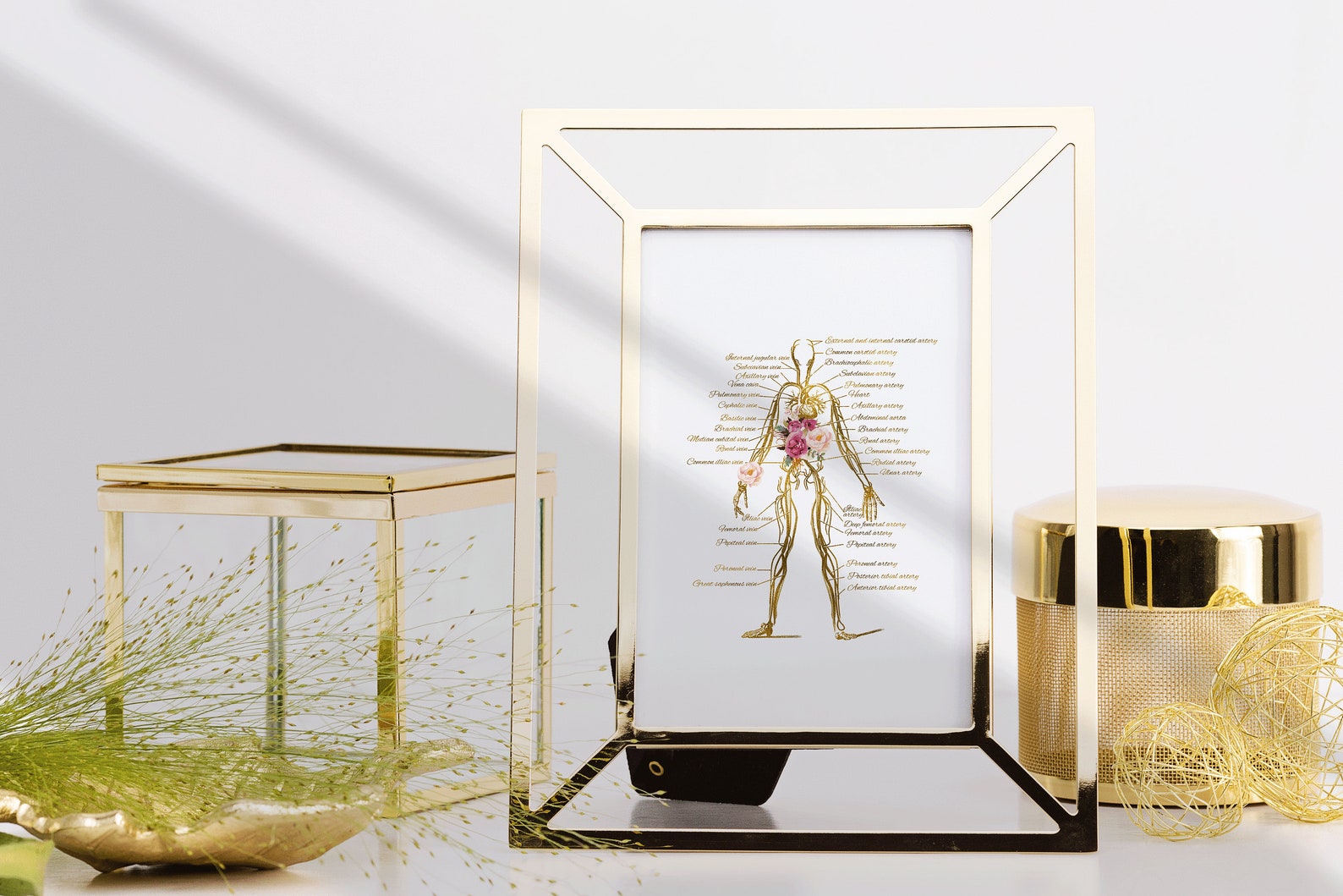 Circulatory System, Anatomy Art, Medical Art, Blood Vessels ...