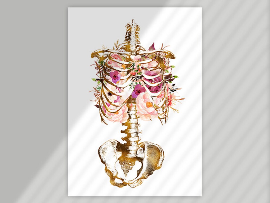 Anatomy Art Print Rib Cage Anatomy Print Skeleton Art - Etsy