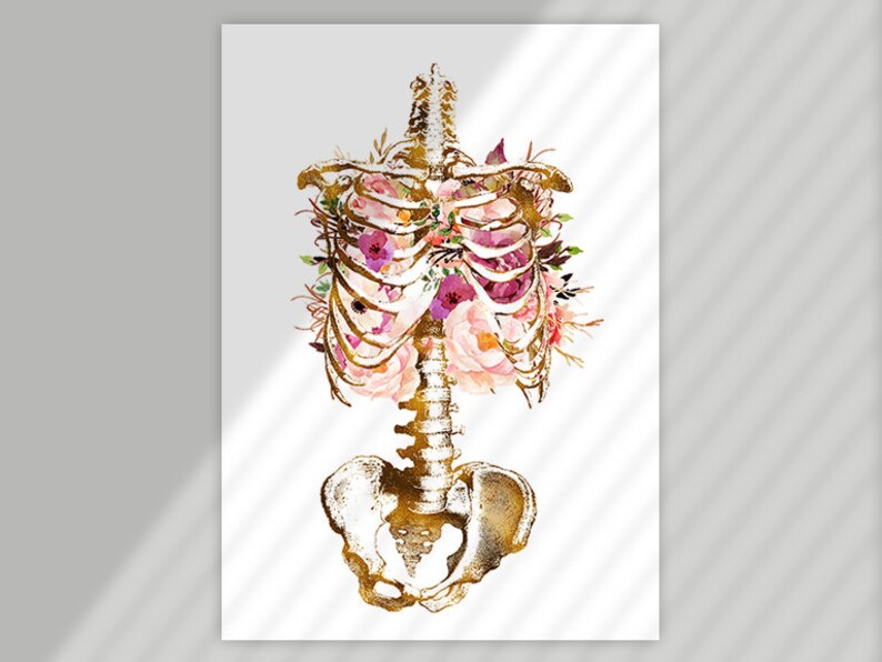 Anatomy Art Print Rib Cage Anatomy Print Skeleton Art - Etsy Canada