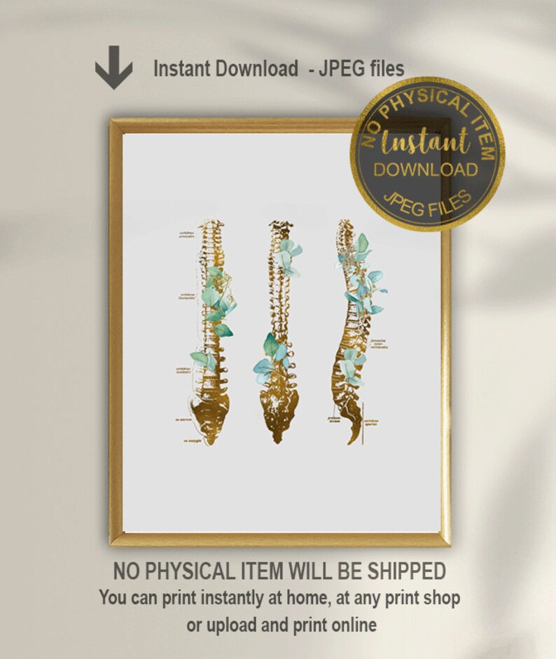 Spine Print Chiropractic Gift Chiropractic Office Decor - Etsy