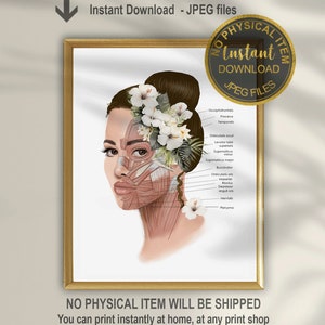 Facial Anatomy Art Print, Facial Muscles, Esthetician Art, Anatomy Wall ...