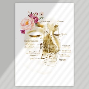 Nose Anatomy Printable Art, Rhinoplasty Surgery Poster, Facial Surgery ...