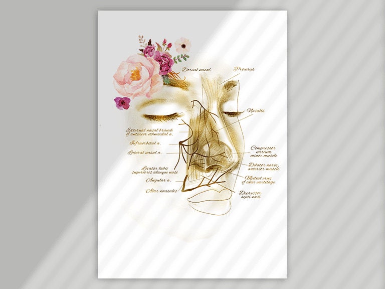 Nose Anatomy Printable Art, Rhinoplasty Surgery Poster, Facial Surgery ...