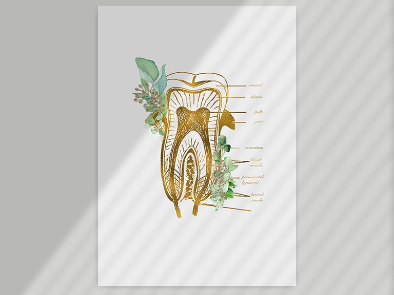 Greenery Tooth Surgeon Dental Clinic Decor, Dentist Office, Dentistry ...