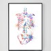 Anatomy Print Set Medical Art Print Anatomy Art Print - Etsy